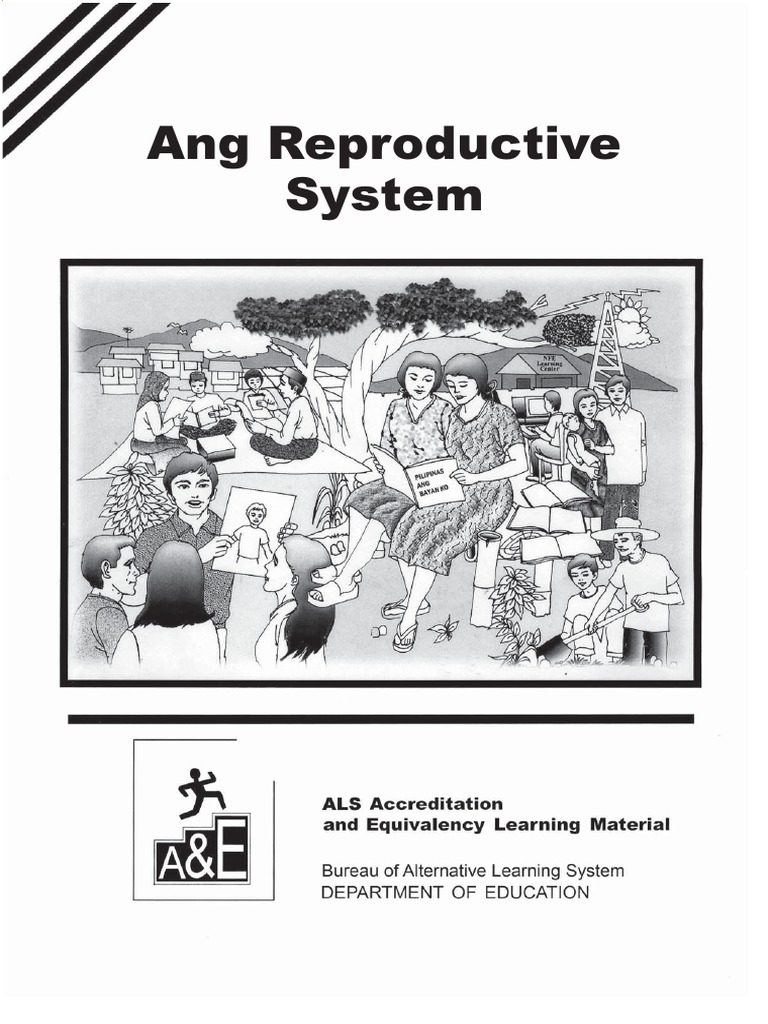 Ang Reproductive System Final | PDF