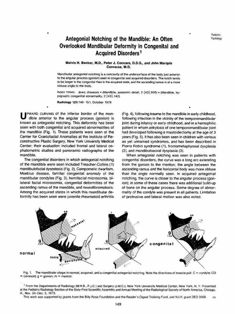 Antegonial Notch | PDF | Musculoskeletal System | Medicine