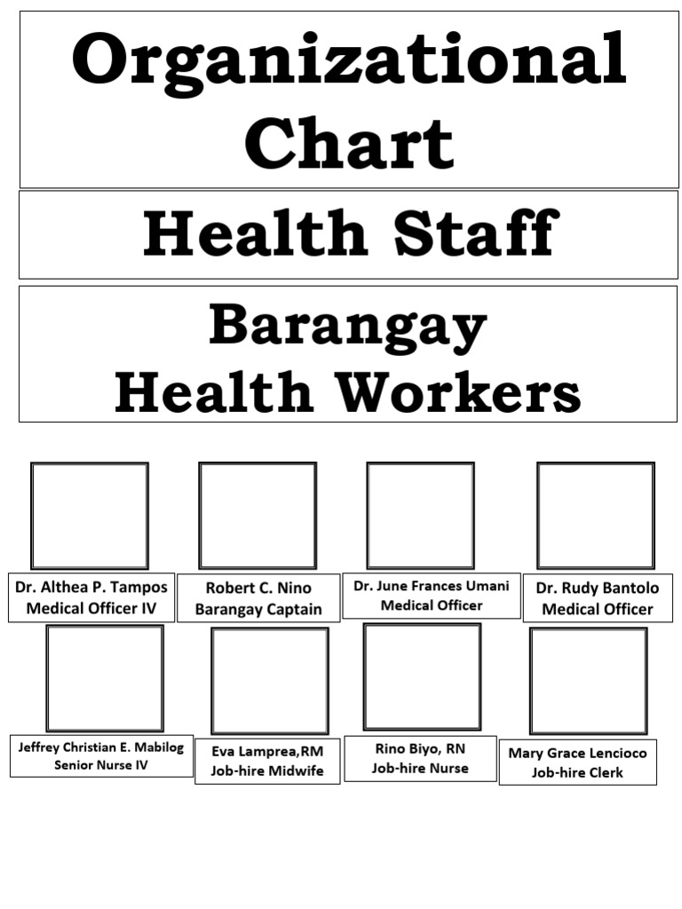 Organizational Chart: Health Staff | PDF