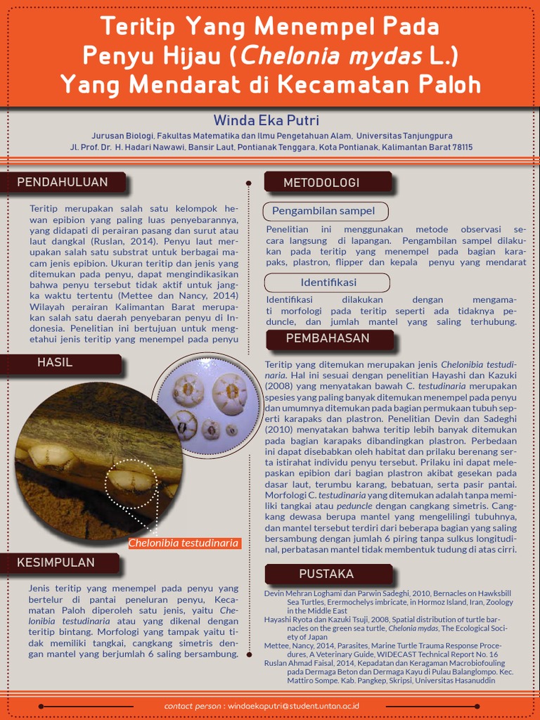 Teritip (Cirripedia) Pada Penyu Hijau | PDF