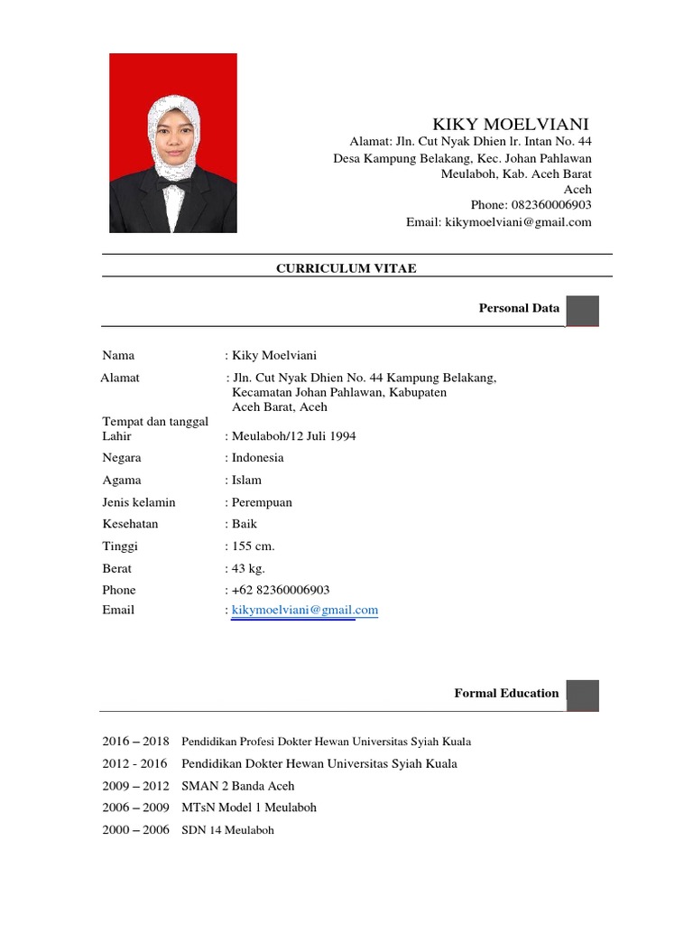 Daftar Riwayat Hidup (CV) PDF | PDF