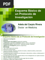 Esquema Básico de Un Protocolo de Investigación | PDF