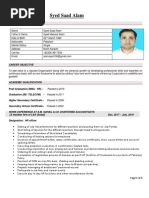 Big 4 Sample CV | PDF | Accountant | Audit