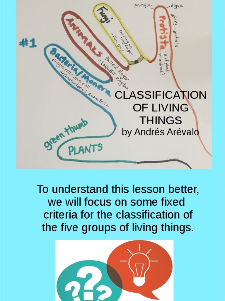 Classification of Living Things | PDF | Plants | Organisms