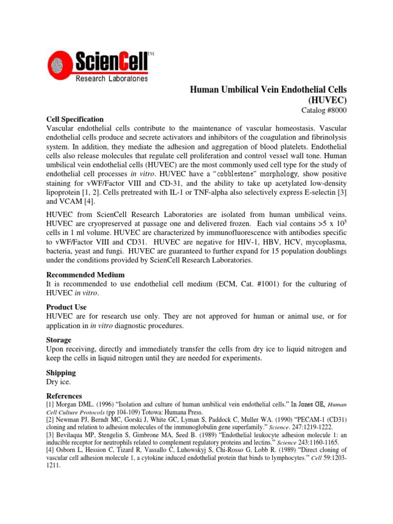Human Umbilical Vein Endothelial Cells (Huvec) : Cell Specification ...
