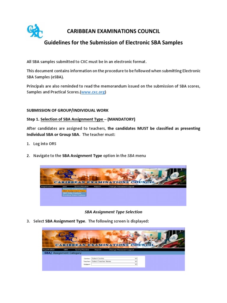 Economics Sba Guidelin 2 | PDF | Filename | Menu (Computing)