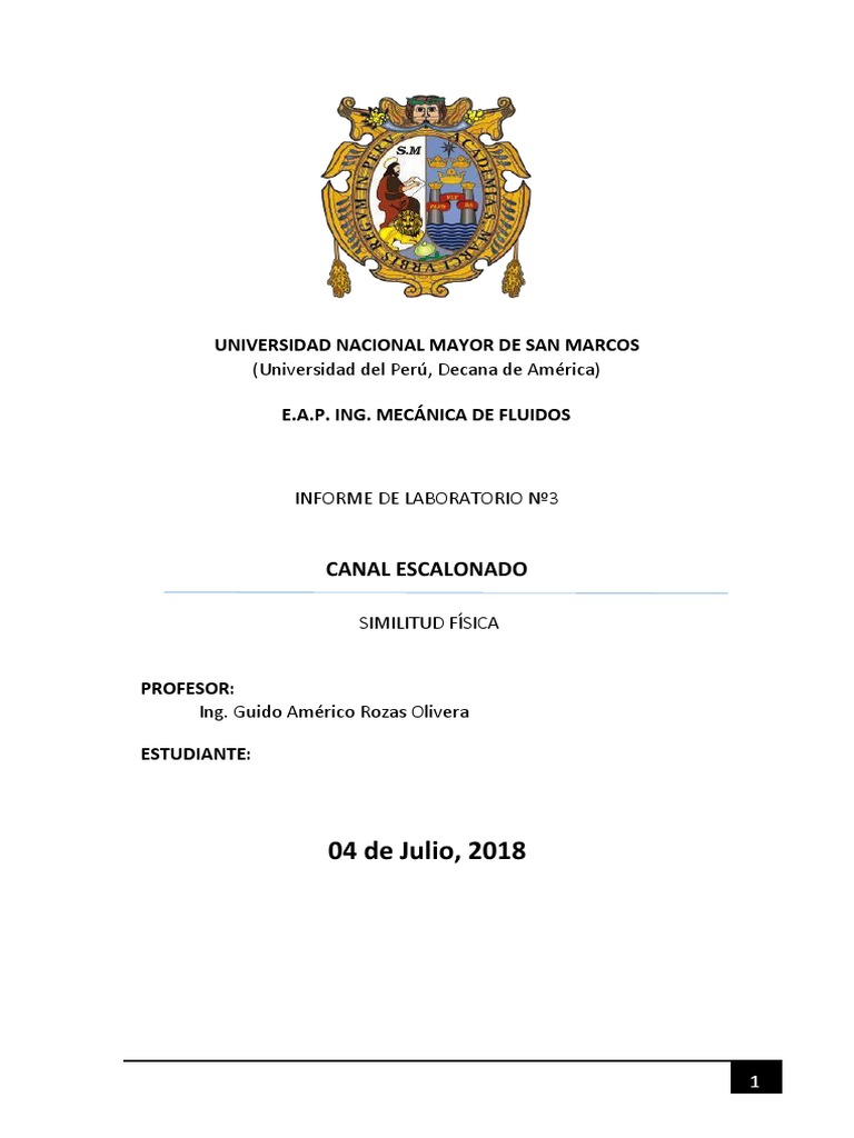 Informe Similitud Física | PDF | Hidráulica | Física