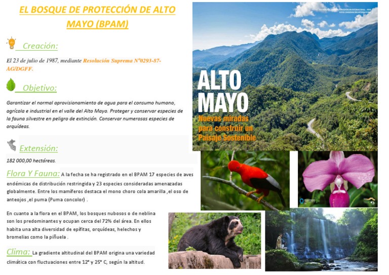 Bosque de Protección Alto Mayo: Flora y Fauna | PDF | Tecnología
