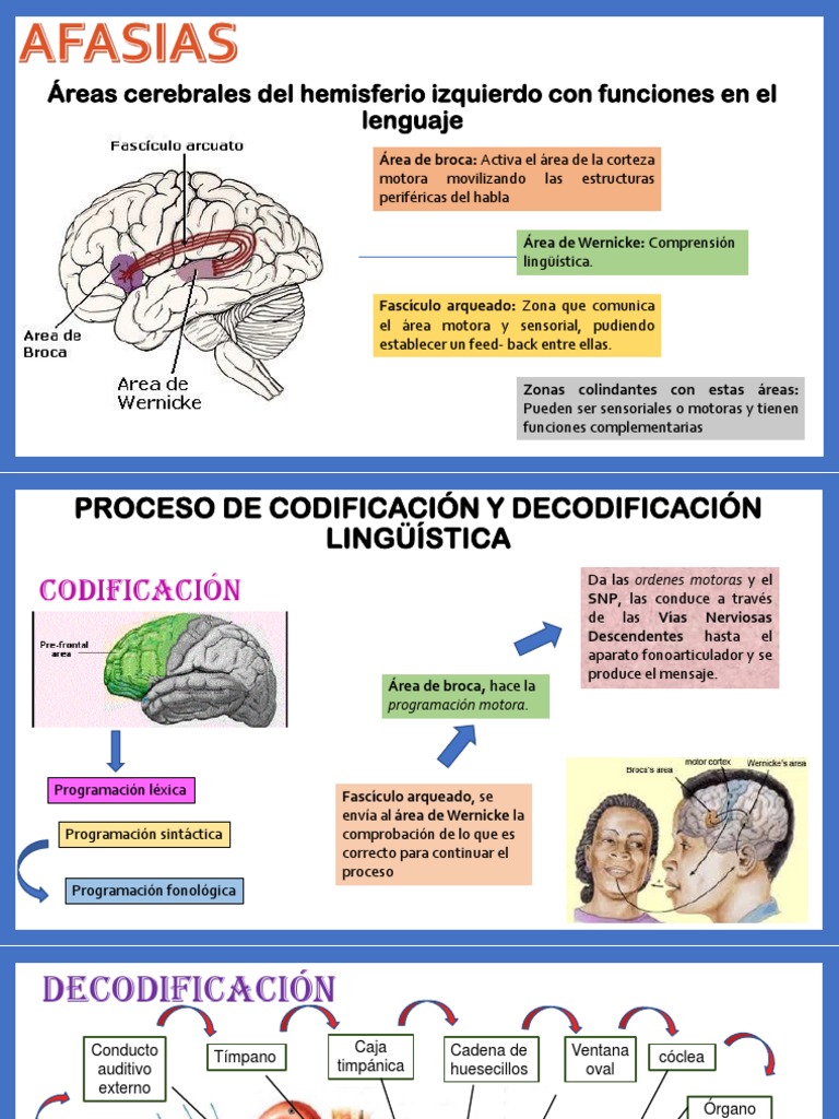 Afasias | PDF | Afasia | Cerebro