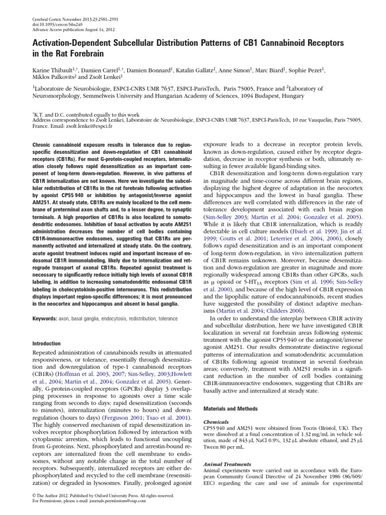 Activation-Dependent Subcellular Distribution Patterns of CB1 ...