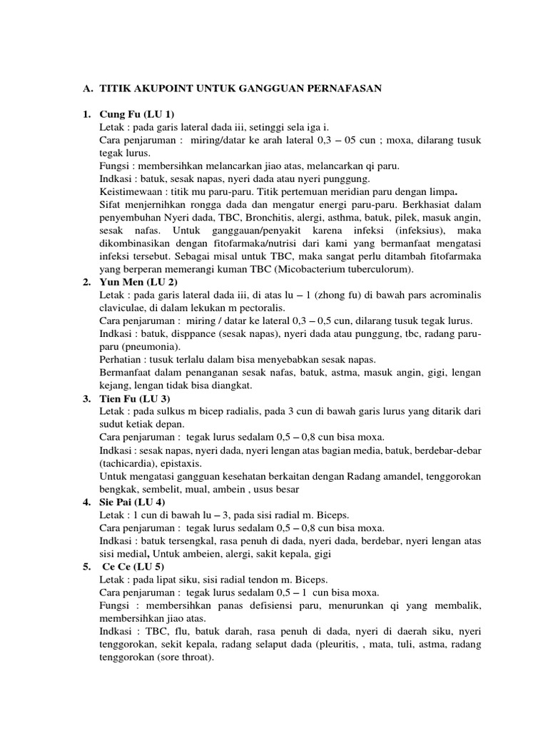 Titik Meridian Paru | PDF