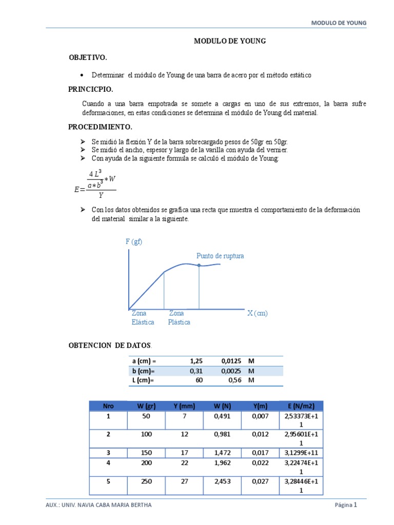 Cálculo del Módulo de Young en Acero | PDF | Líquidos | Fluido
