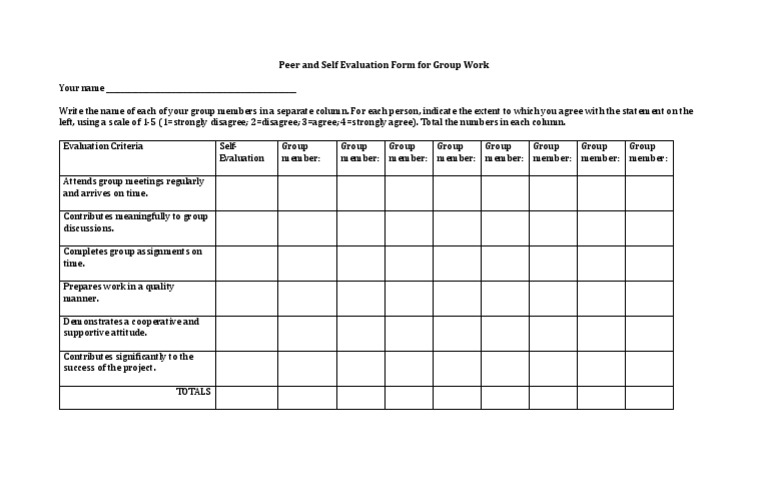 Group Work Peer Evaluation Form | PDF