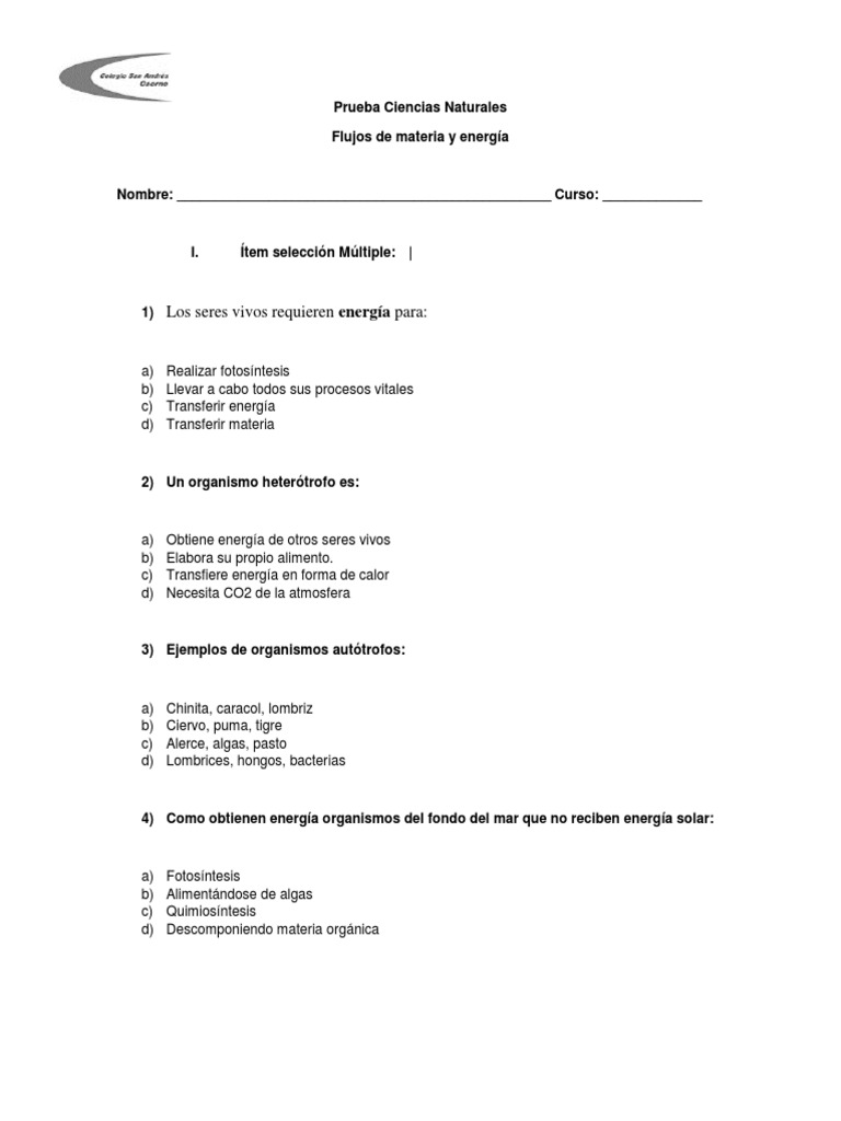 Prueba de Ciencias Naturales: Energía y Materia | PDF