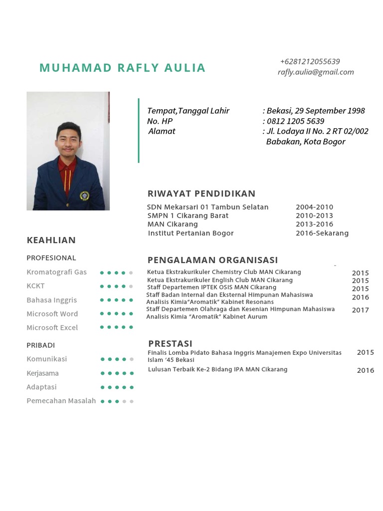 CV Muhamad Rafly Aulia | PDF