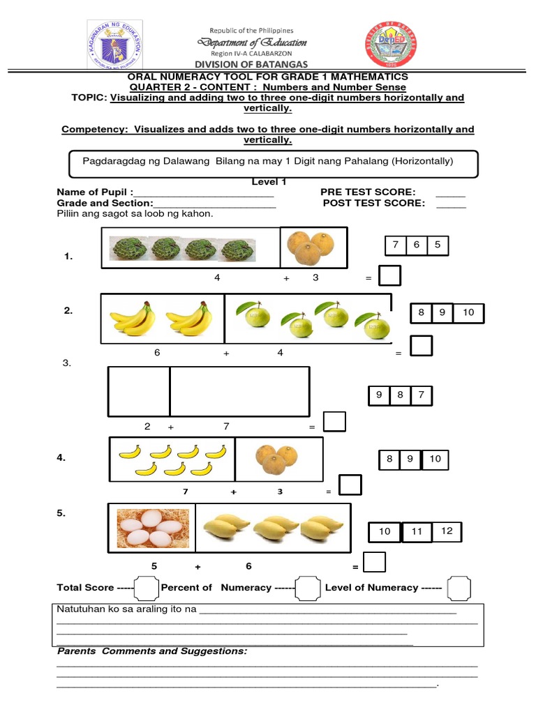 Grade 1 Oral Numeracy Assessment Tool | PDF | Cognition | Behavior ...