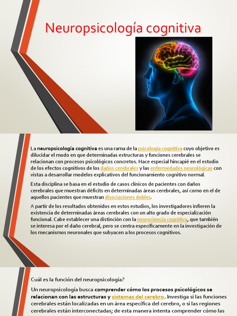 Neuropsicologia Cognitiva | Neuropsicología | Cerebro