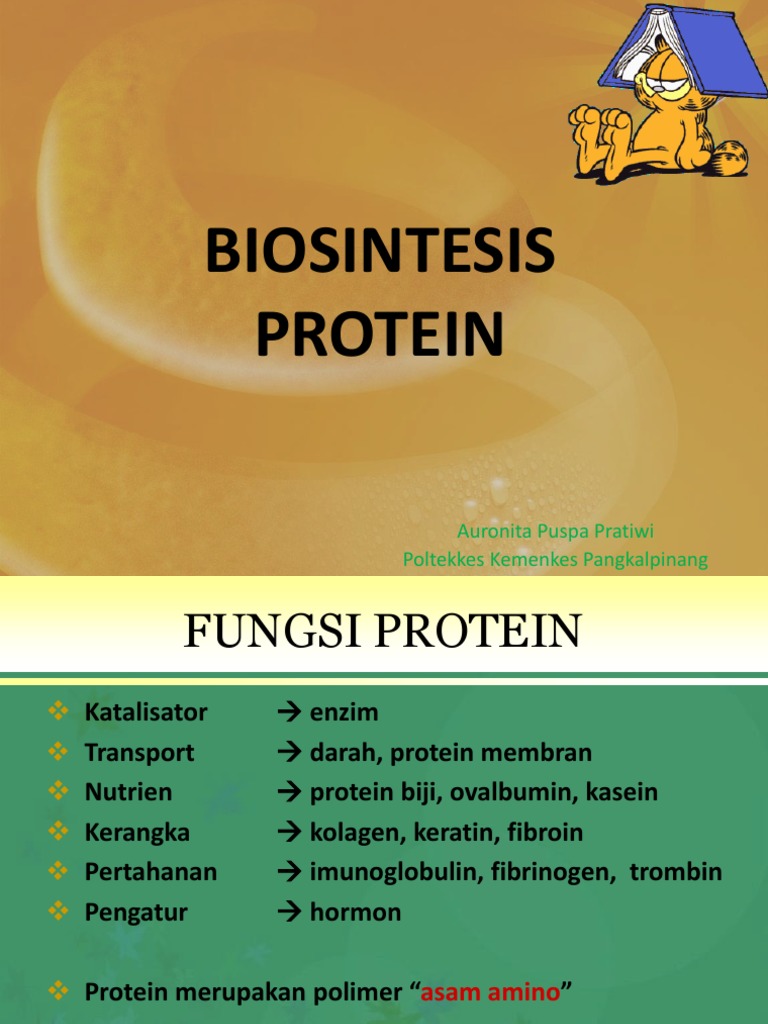 Biosintesis Protein | PDF