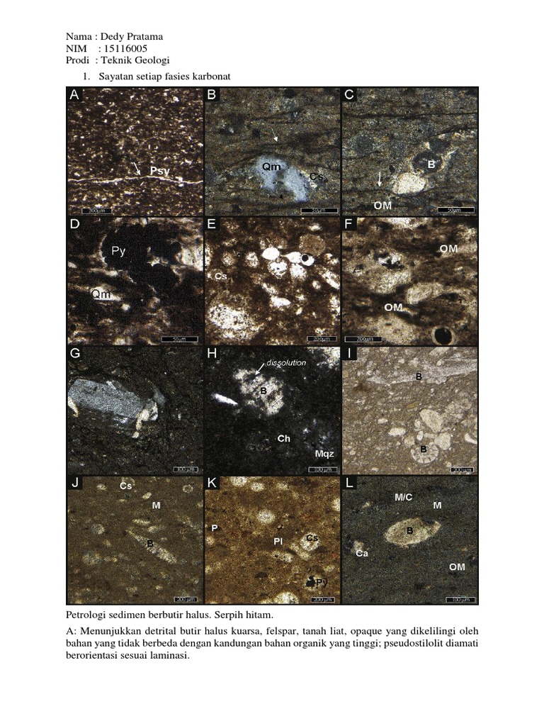 Sayatan Batuan Karbonat | PDF