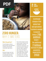 Zero Hunger | PDF | Hunger | Food Security