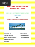 Water Pollution Case Study | PDF | Social Science | Wellness