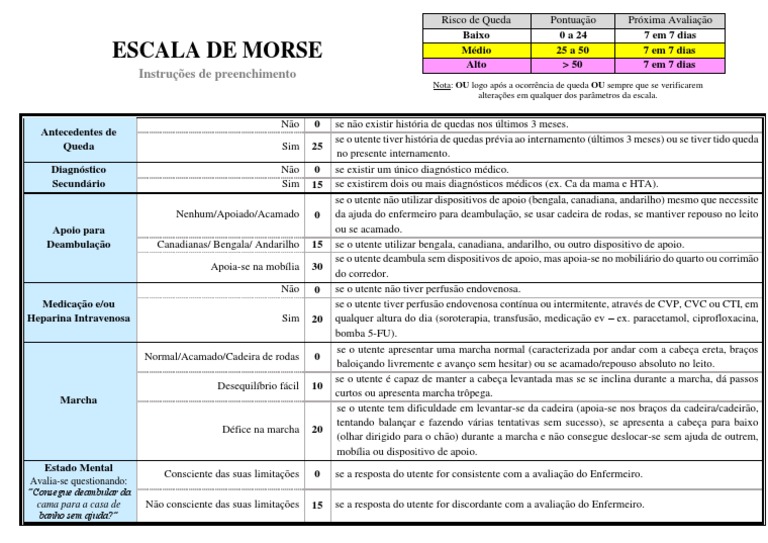 Escala de Morse - Instruções de Preenchimento | Remédio ...