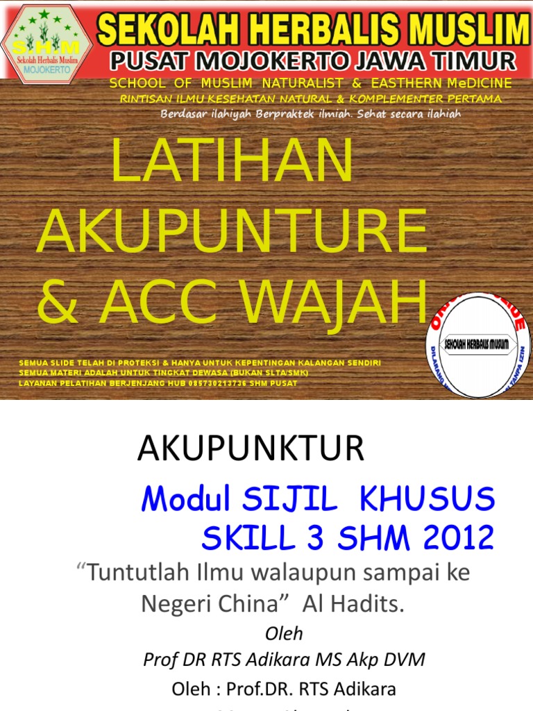 Rev ACUPUNTUR Meridian | PDF