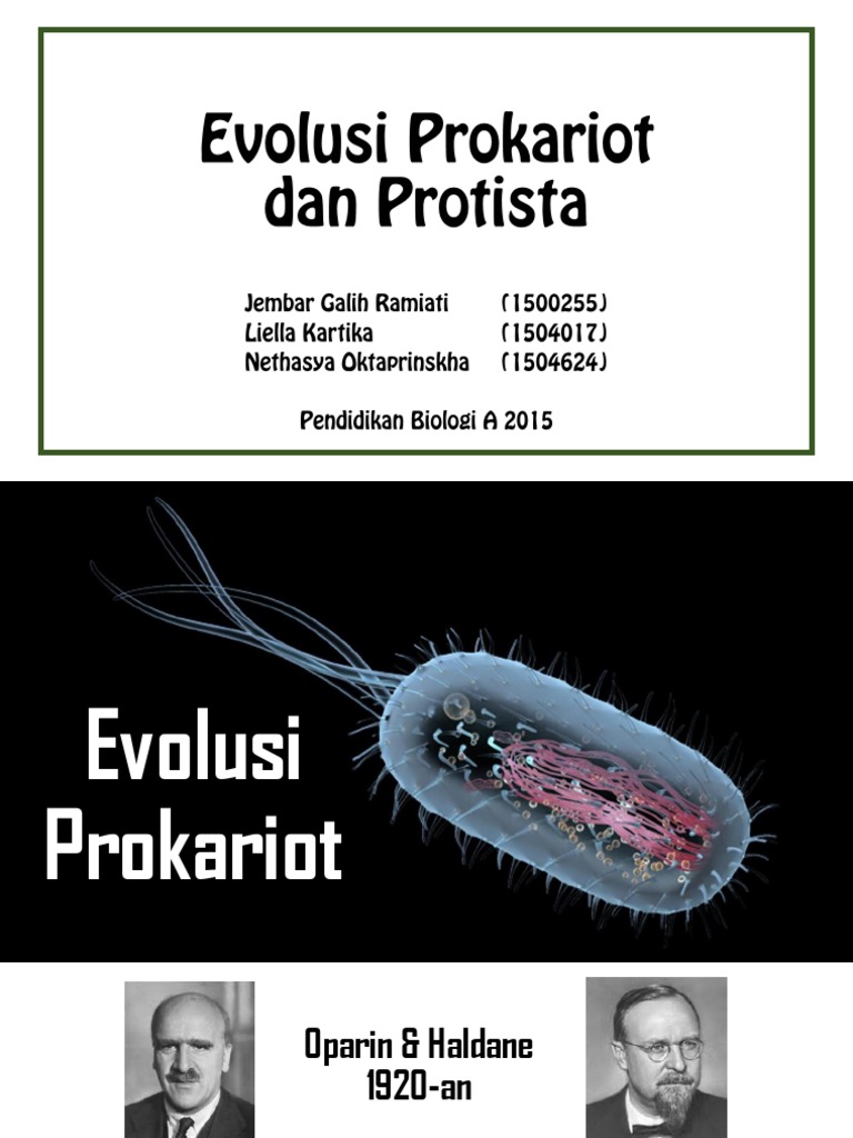 Evolusi Prokariot Protista | PDF | Griya & Taman | Sains & Matematika