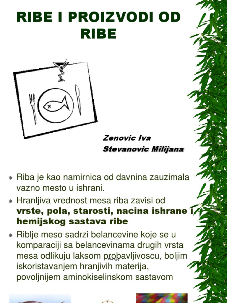 Ribe I Proizvodi Od Ribe | PDF