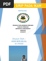 Morfologi Dan Anatomi Kepiting | PDF
