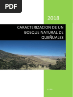 Ichu | PDF | Plantas | Horticultura y jardinería