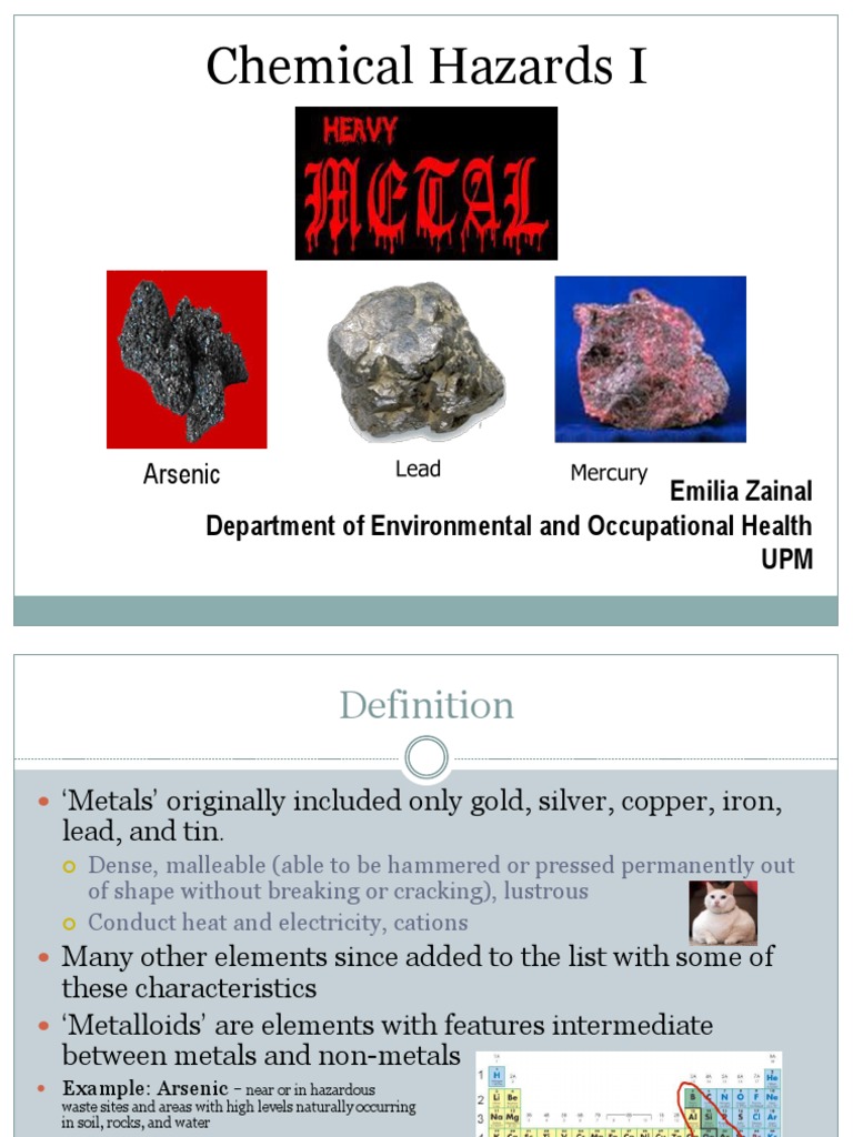 Chemical Hazards I: Understanding Heavy Metal Toxicity | PDF | Lead ...