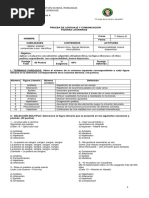 Prueba de Comprensión Lectora 7° Básico | PDF | Color