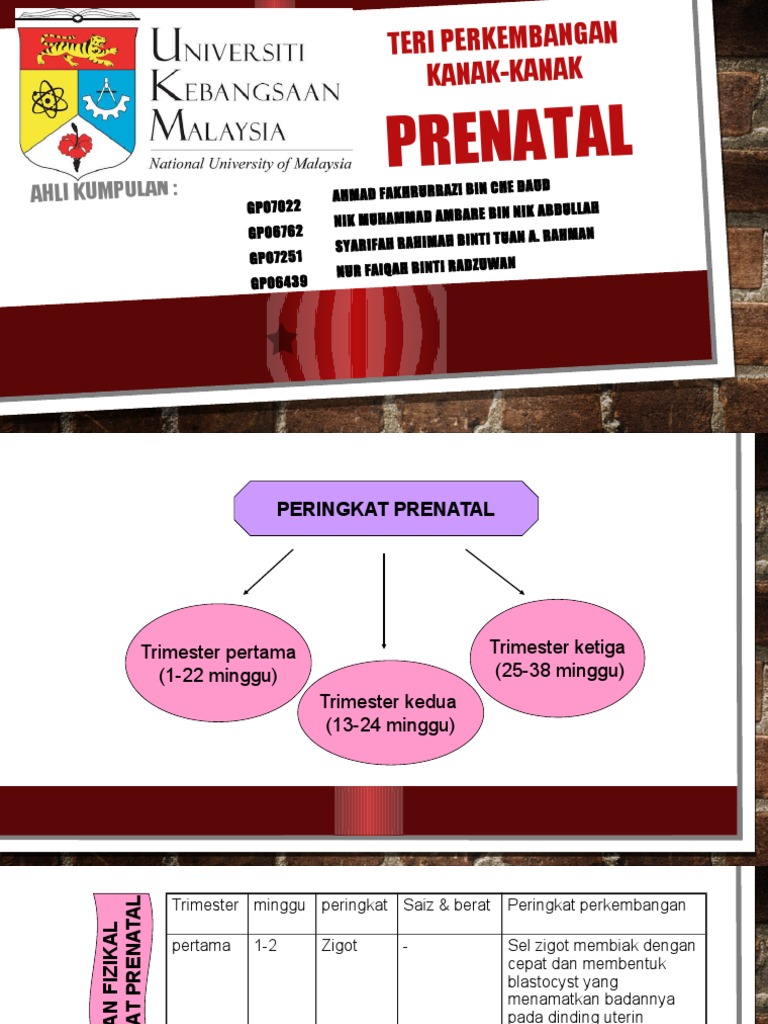 Perkembangan Pranatal | PDF