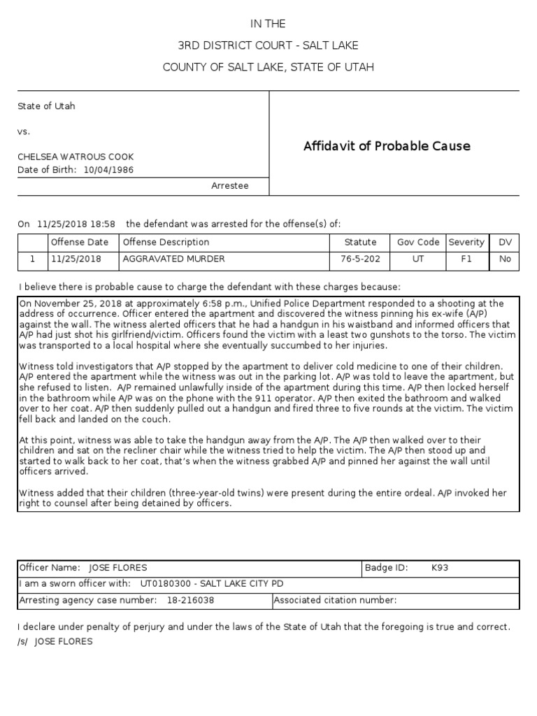 Chelsea Cook Probable Cause Statement | PDF | Probable Cause | Crime ...