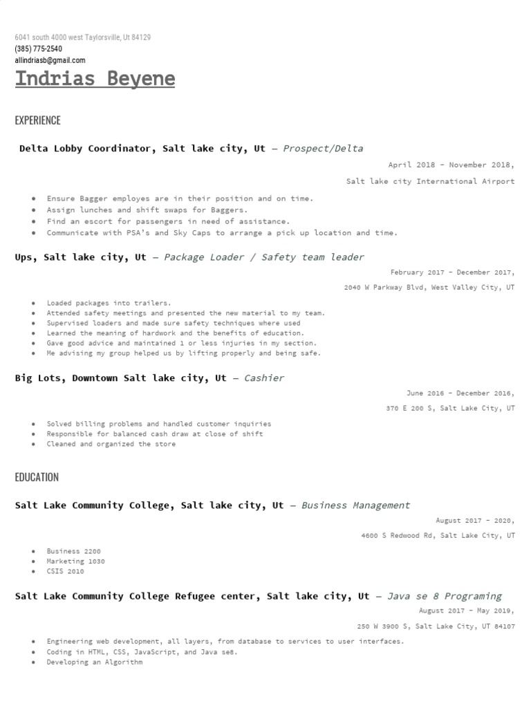 Resume 2 | PDF | Information Technology Management | Computing