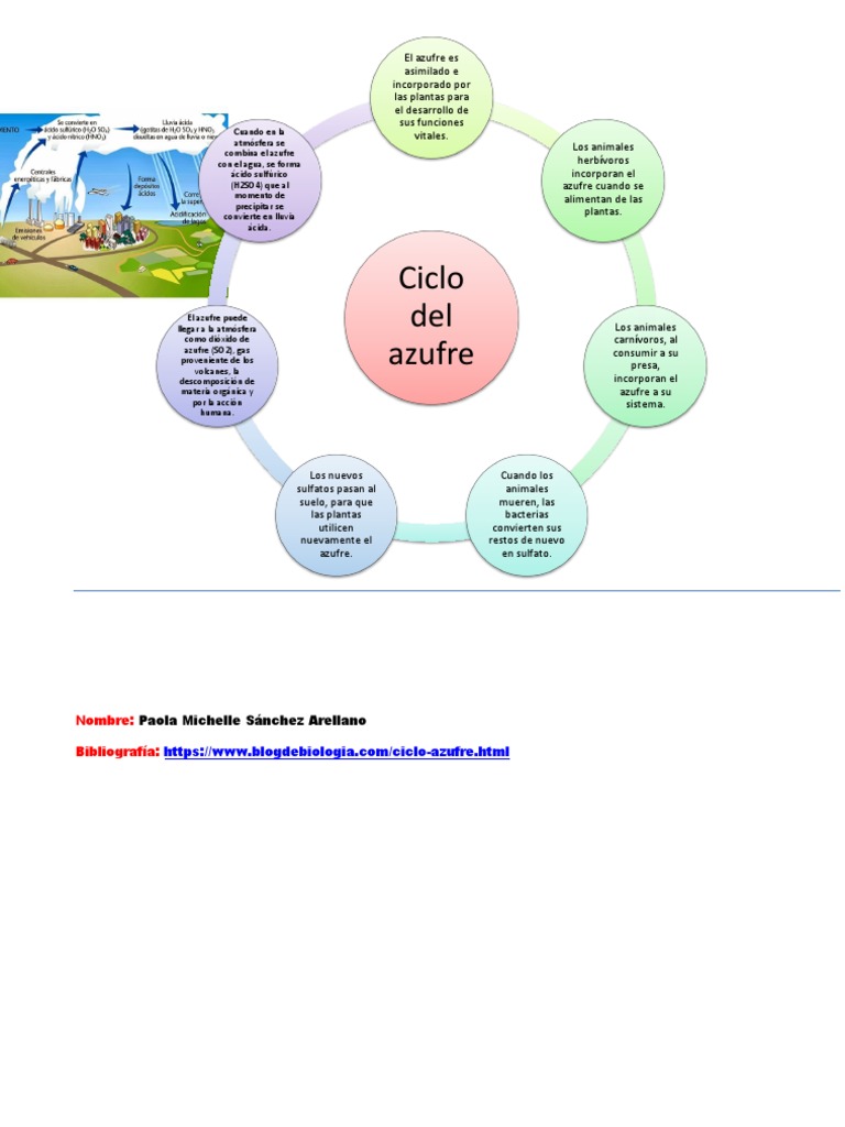 Ciclo de Azufre | PDF | Azufre | Dióxido de azufre