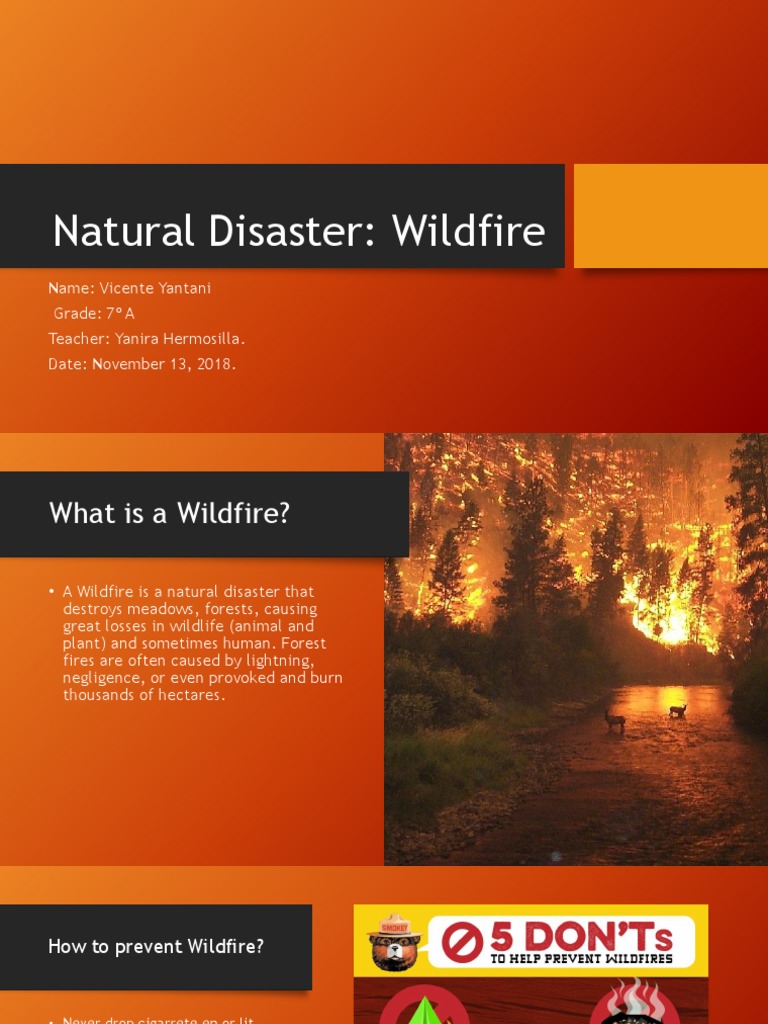 Understanding and Preventing Wildfires | PDF