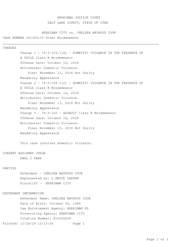 Chelsea Cook Domestic Violence/Assault Charges in Front of Children ...