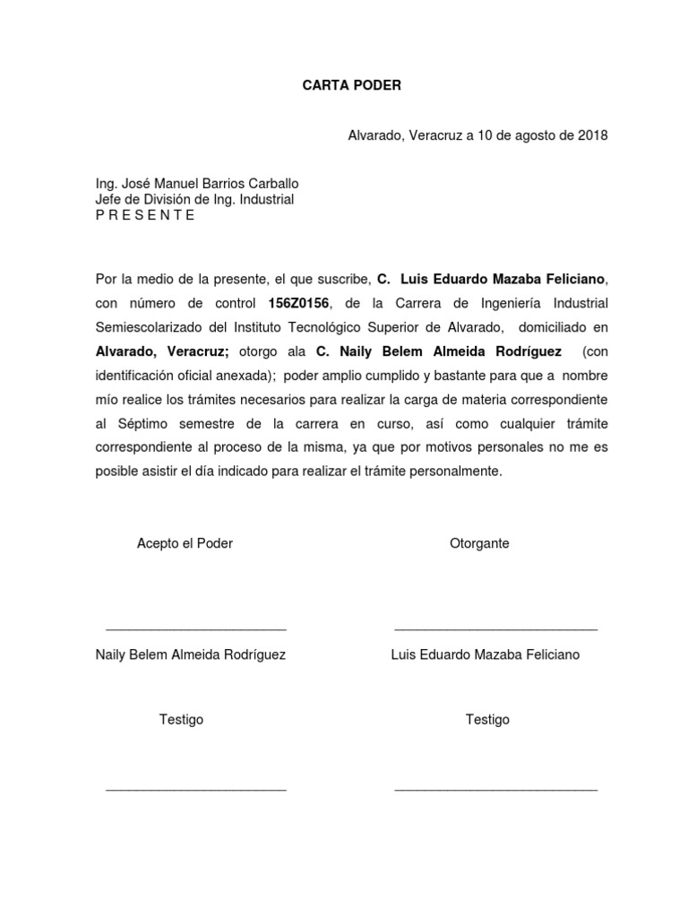 EJEMPLO DE Carta Poder | PDF | Ingeniería | Science