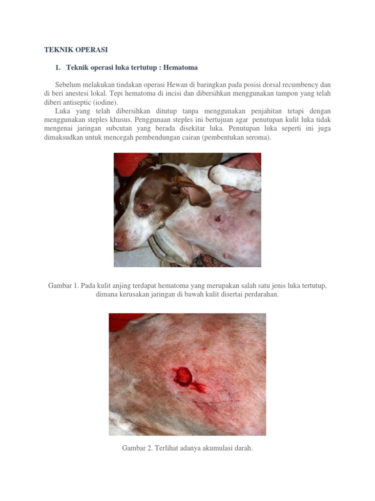 TEKNIK OPERASI Jenis-Jenis Vulnus | PDF | Kesehatan Holistik | Sains ...