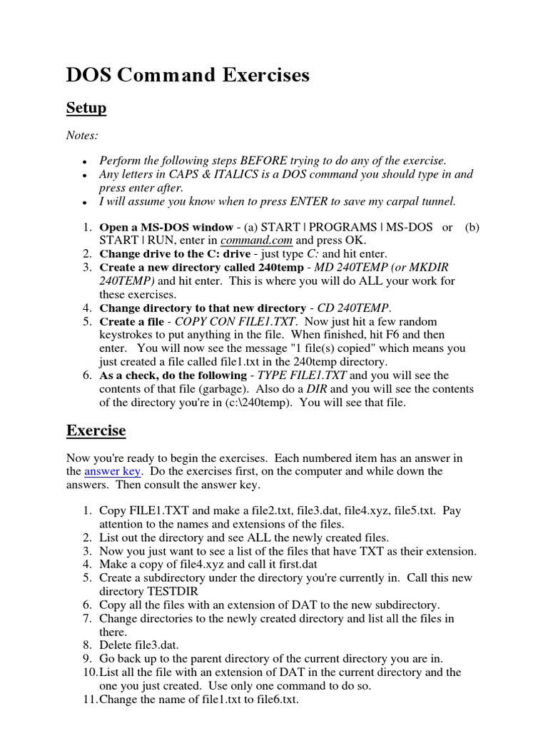 DOS Command Exercises | PDF | Text File | Computer File