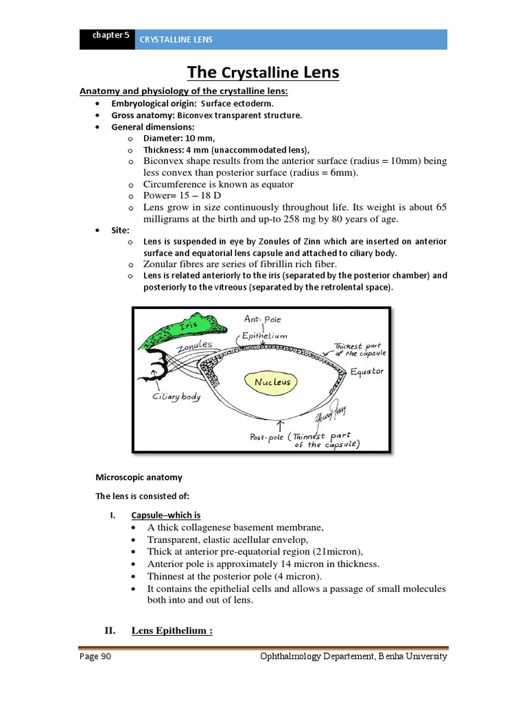 Anatomy and Physiology of the Lens | PDF | Cataract | Glaucoma