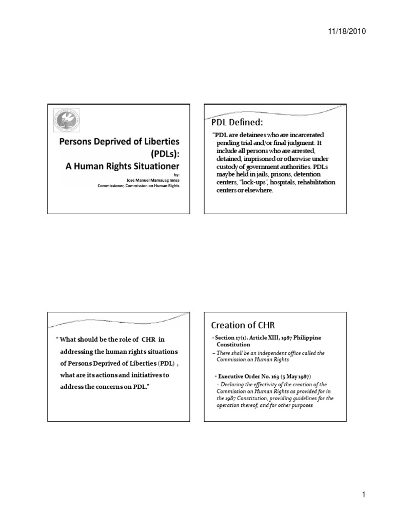 Persons Deprived of Liberty A Human Rights Situationer (Hon. Jose ...