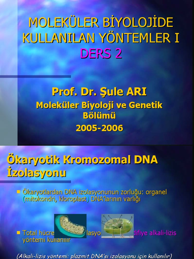 MBKY 1 Ders2 Dna Rna Izolasyonu | PDF