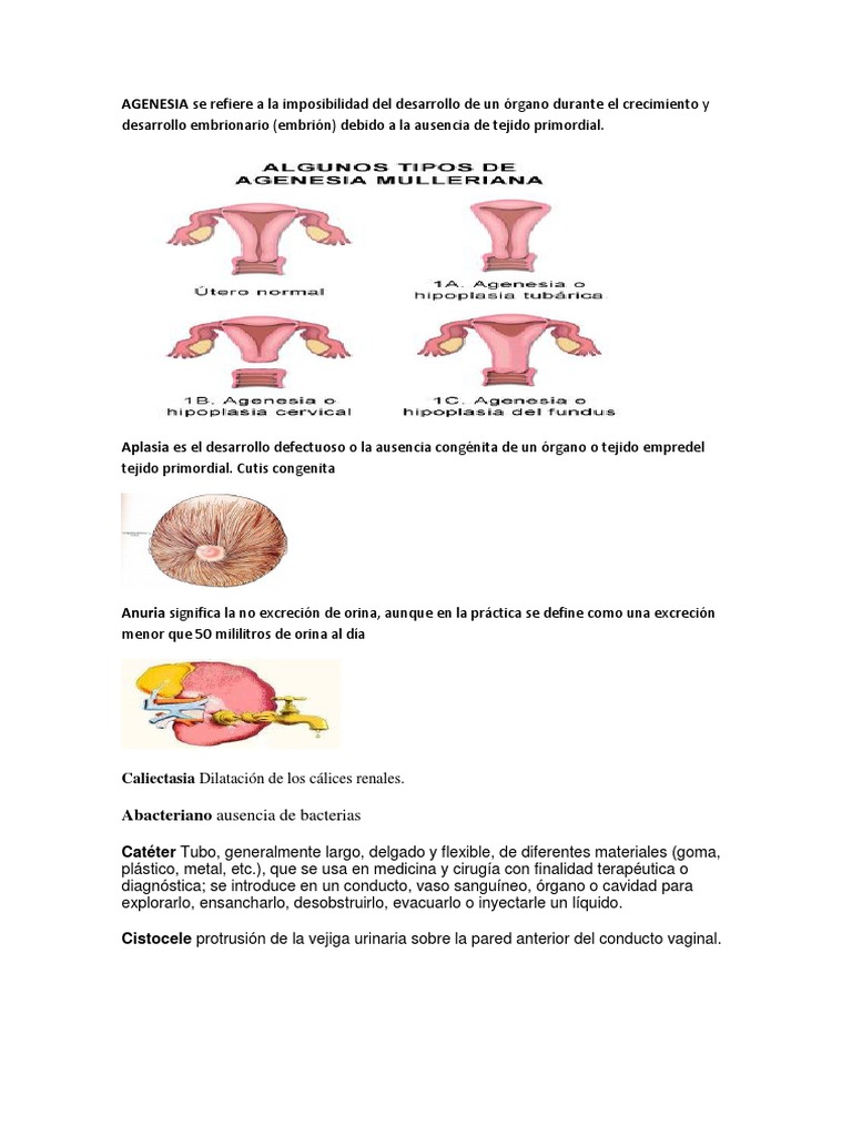 Agenesia y Caliectasia: Definiciones Clave | PDF | Ciencia y matemáticas
