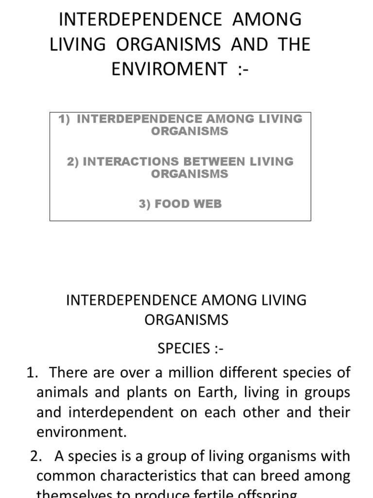 Ecology Basics for Students | PDF | Predation | Symbiosis