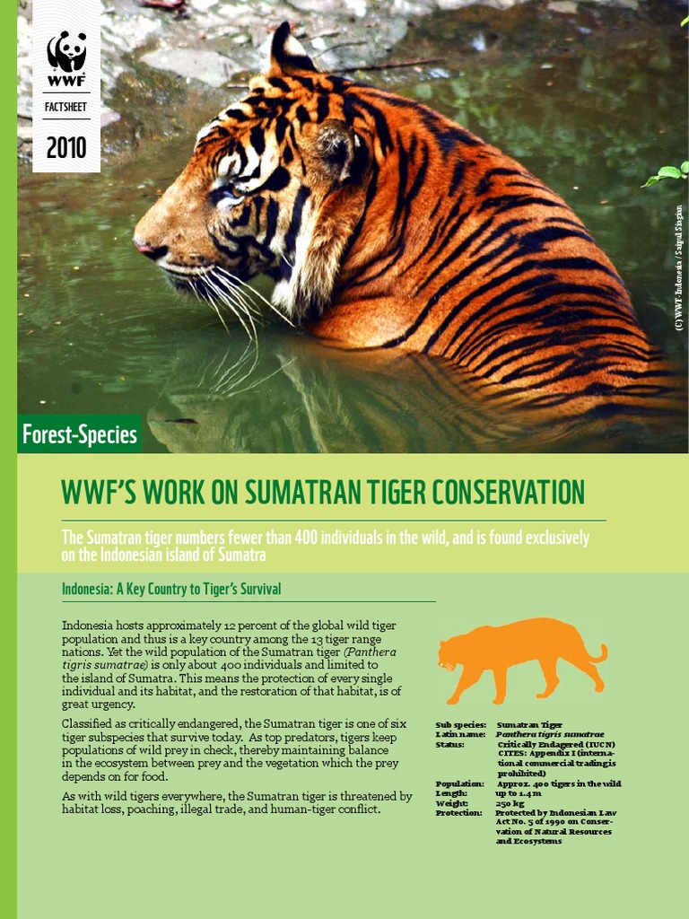 WWF Work On Sumatran Tiger Conservation | Download Free PDF | Tiger ...
