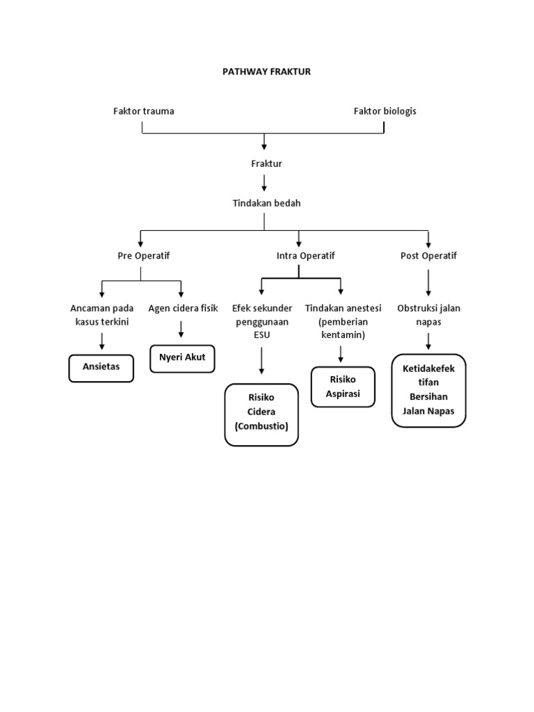 Pathway Fraktur | PDF