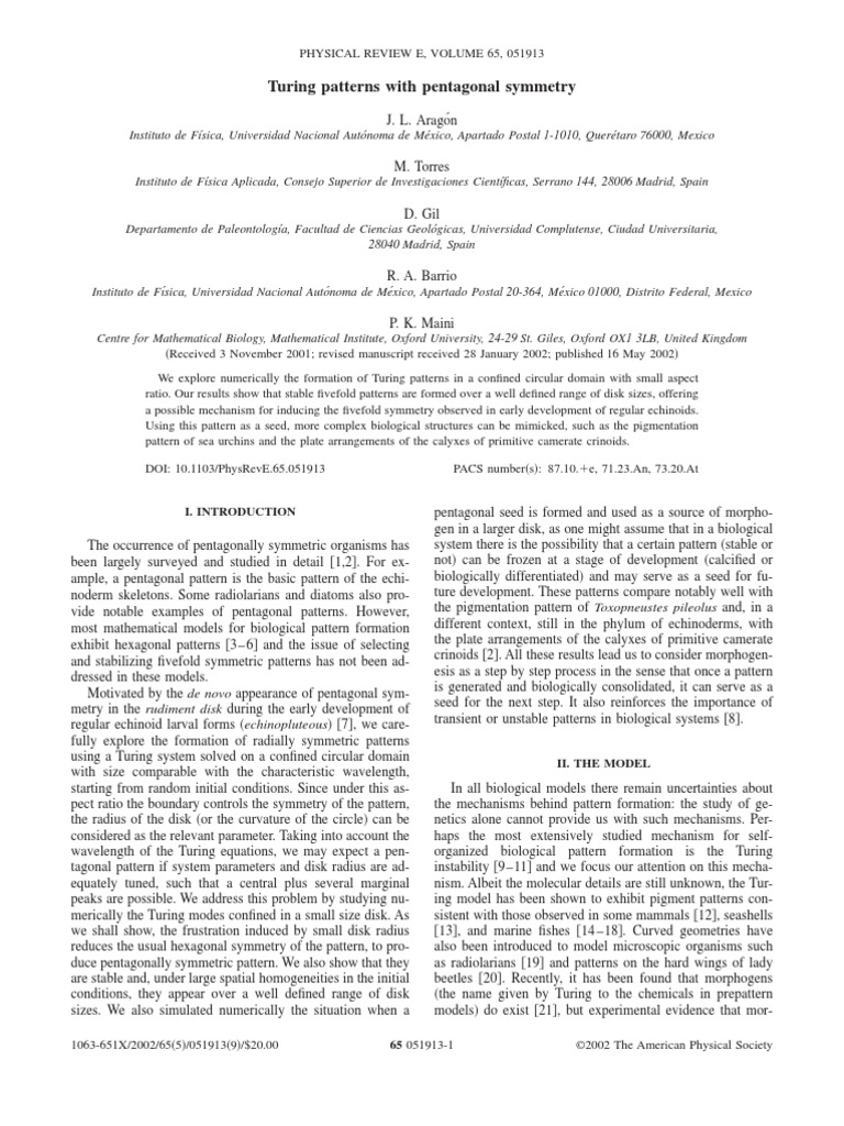 Turing Patterns With Pentagonal Symmetry Pdf Equations Nonlinear System